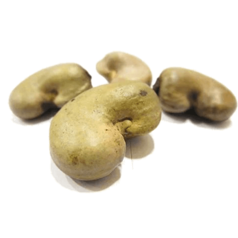 Raw Cashew Nuts - Ahar Group